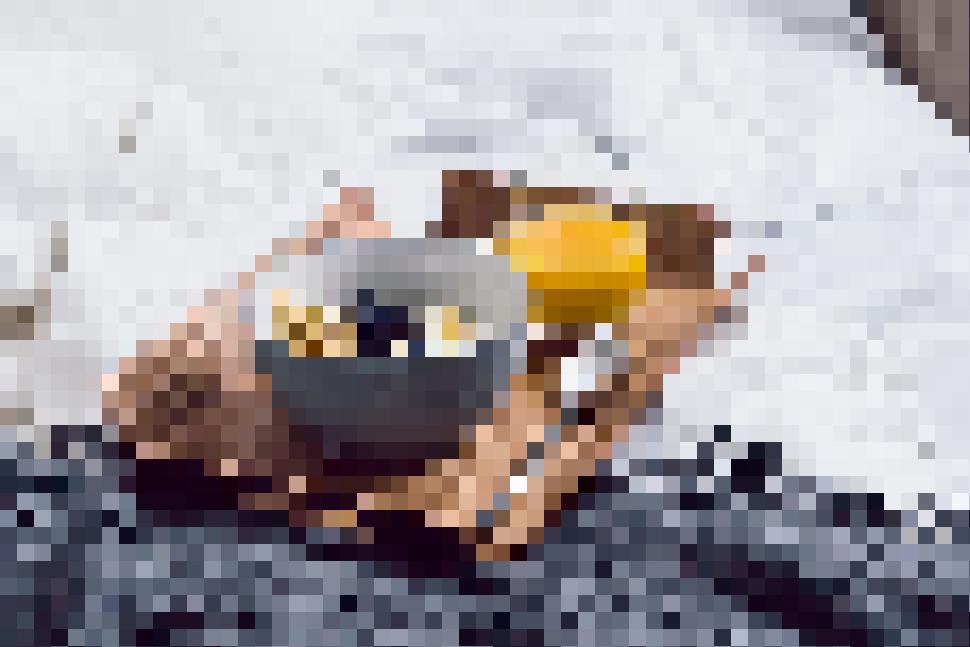 Portfolio Ark Big Images – AACC English