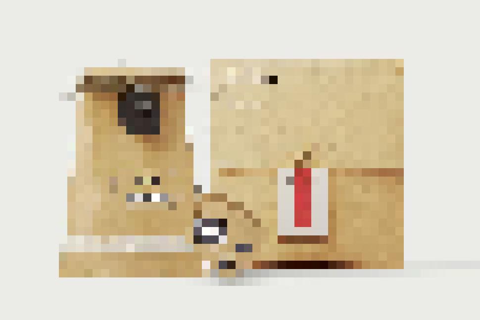 Portfolio Ark Big Images – AACC English